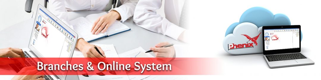 Multi Branches Online Remote Accounting System - Phenix Software